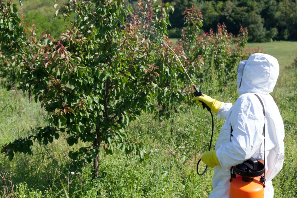 What is Tree Spraying and Do My Trees Need It? | Tree Service Noblesville